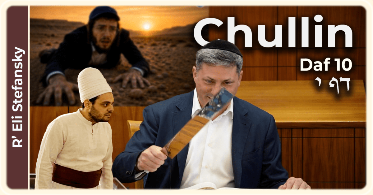 Chulin 10 - Daf Yomi by Rabbi Eli Stefansky
