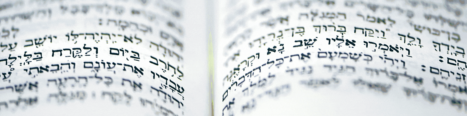 All Parsha - Connect to the Parsha. Live the Parsha.