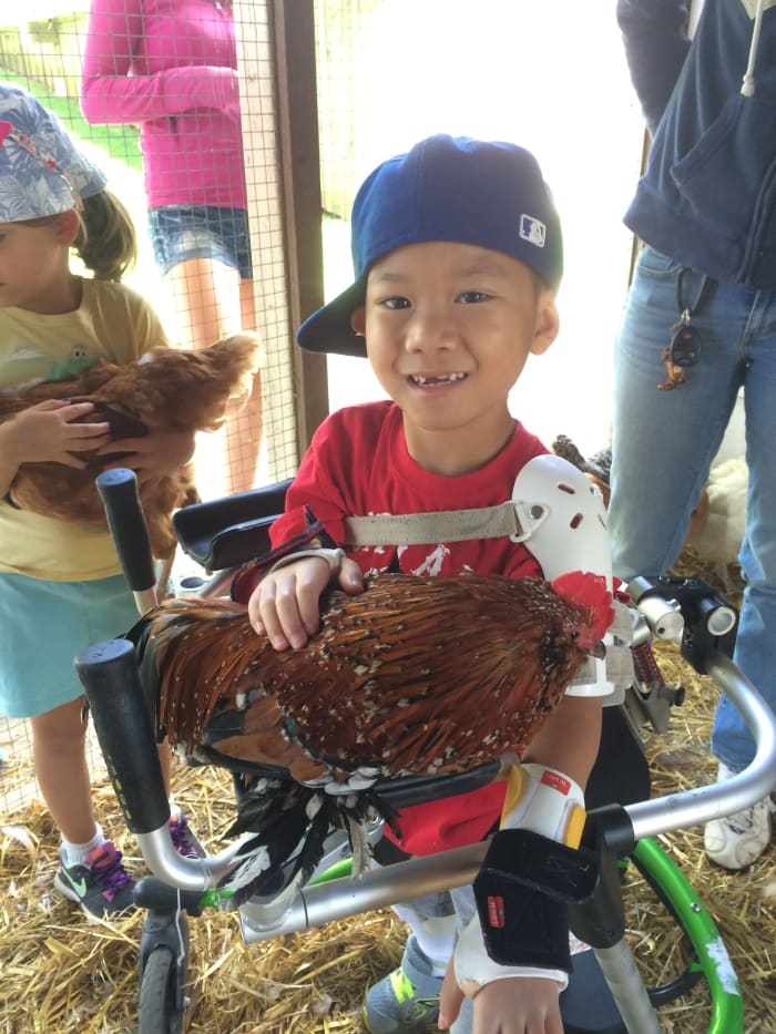 WindReach Farm - Ashburn