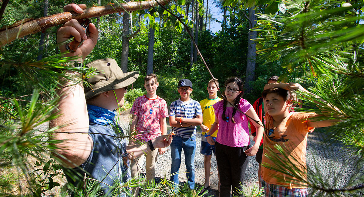 Camps for Kids: Overnight & Day, Summer & March Break