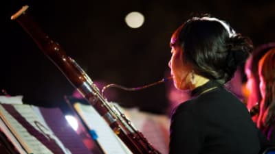 Bassoon Lessons (In-Home, Online, or Studio) | Neighbour Note Music ...