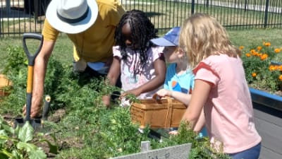 Day Camp | Breslau | Silver Lake Mennonite Camp