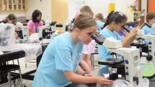Nybbles STEM Camp (Gr 3-4) | Carleton University STEM Camps