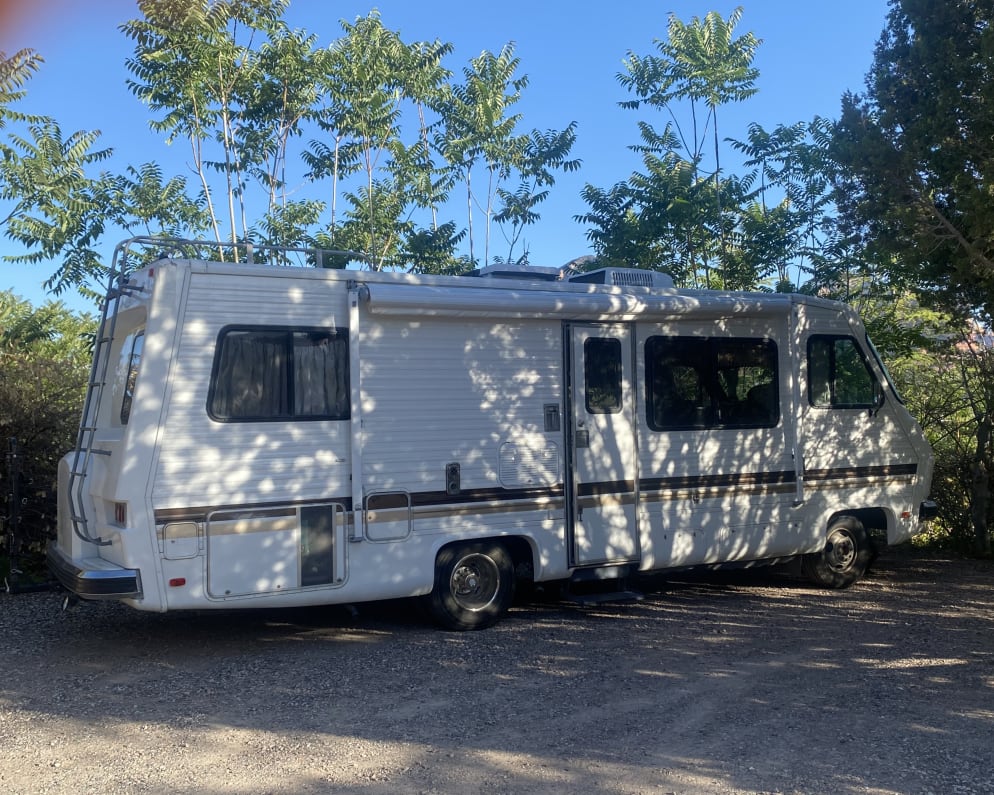 1984 Class A RV for Rent in Los Angeles, California - RVUSA.com