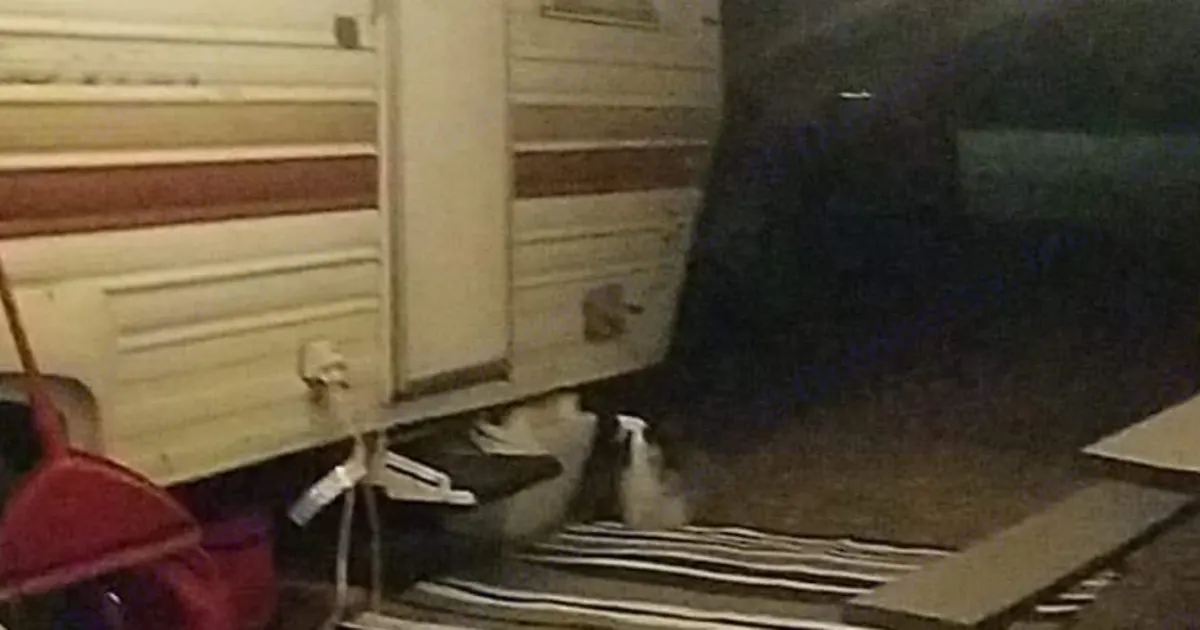 1983 Skyline Layton Travel trailer in WICHITA, KS | Outdoorsy
