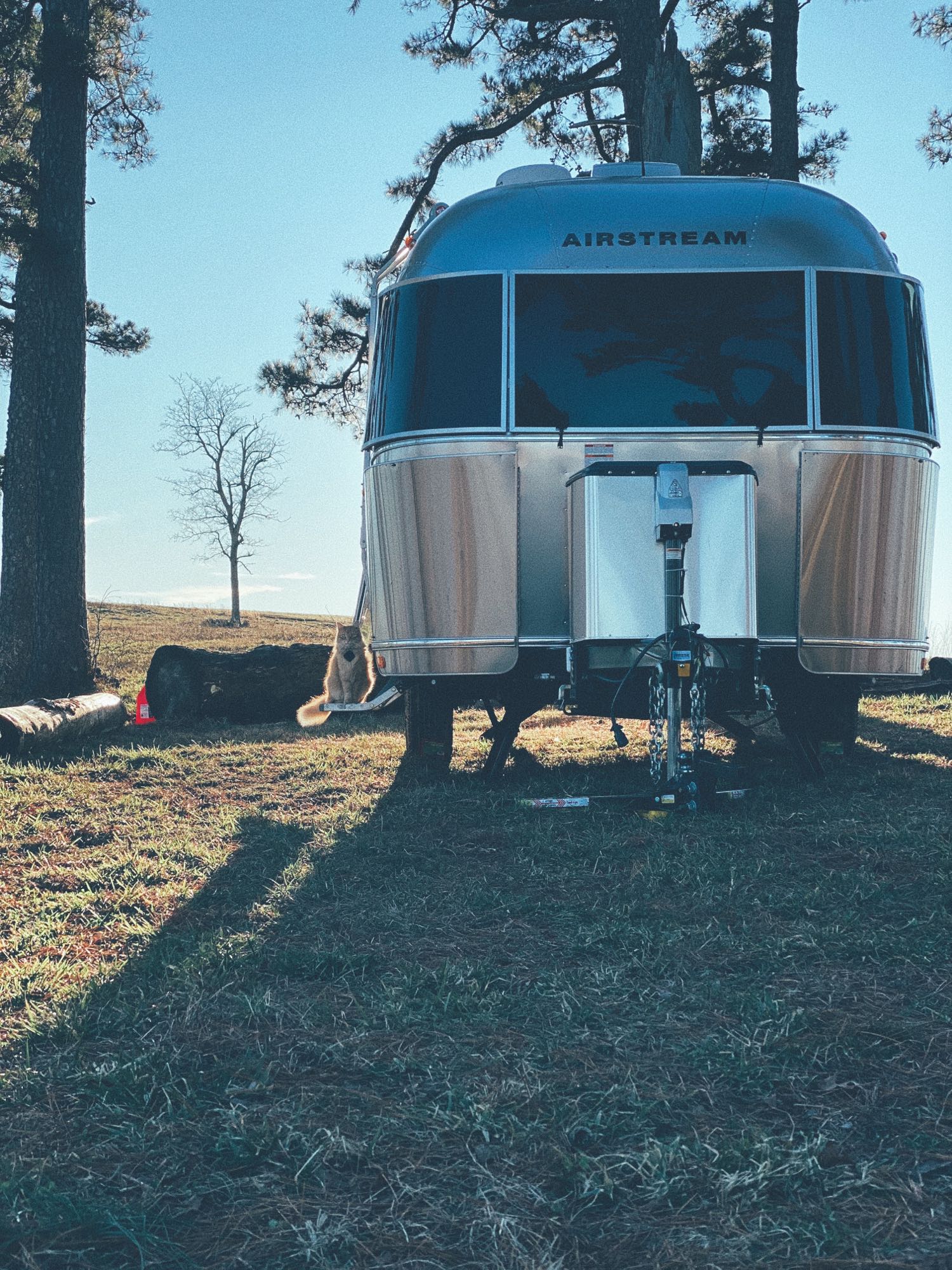2020 Airstream Caravelle Trailer Rental in Nashville, TN | Outdoorsy
