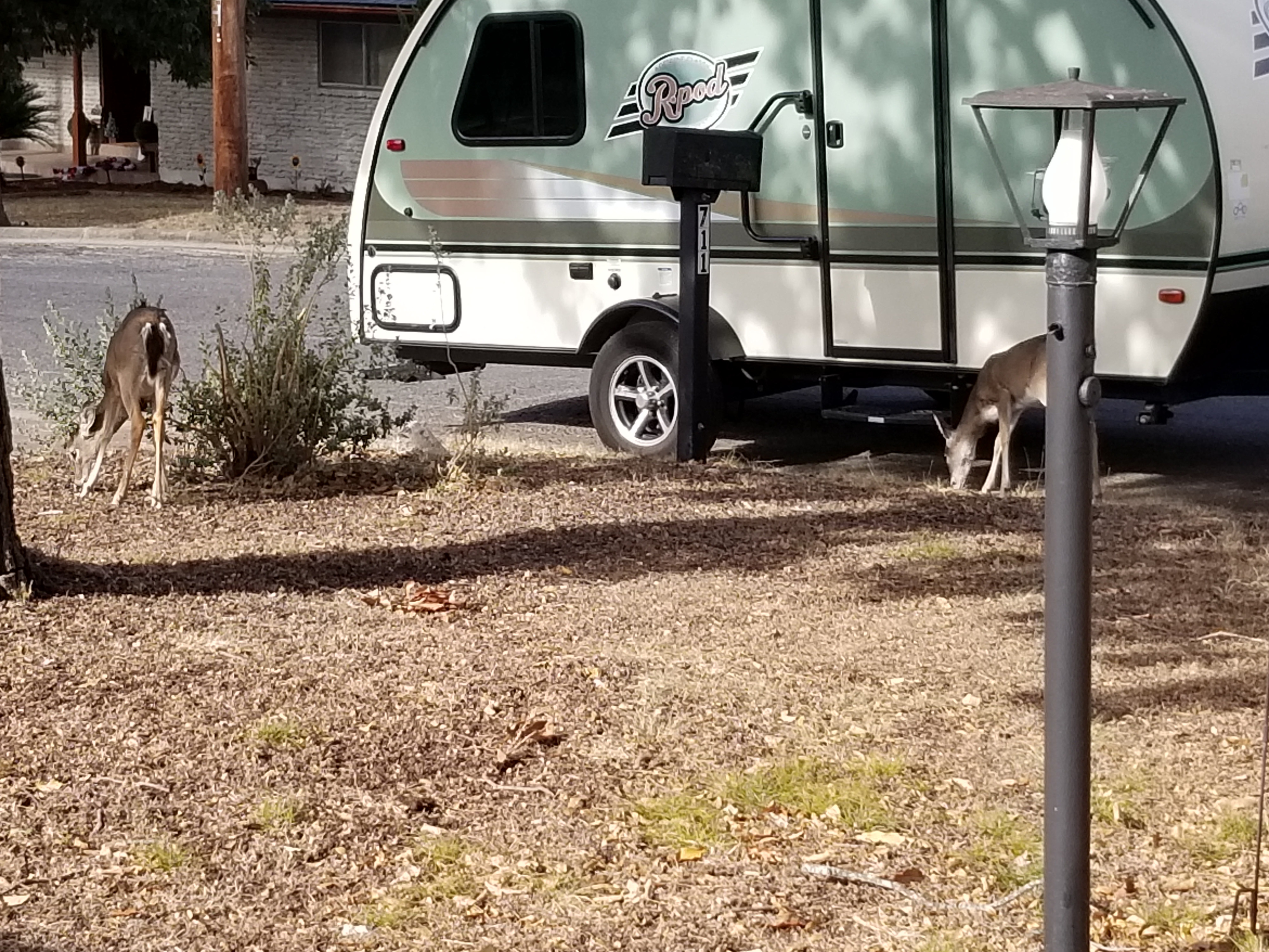 2016 Forest River R-Pod Trailer Rental in Dallas, TX | Outdoorsy