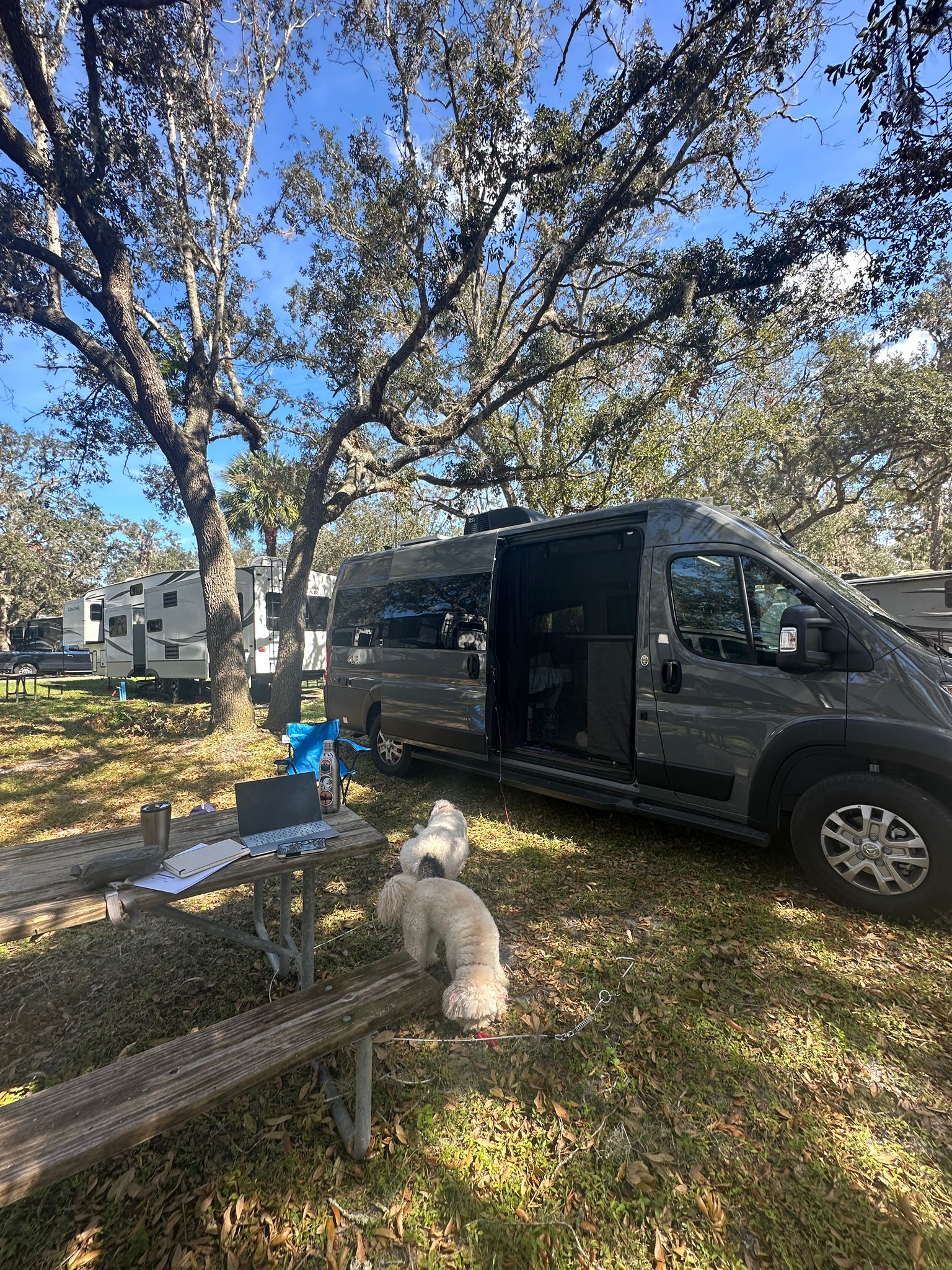 Camper Van Rentals in Miami, FL — altCamp