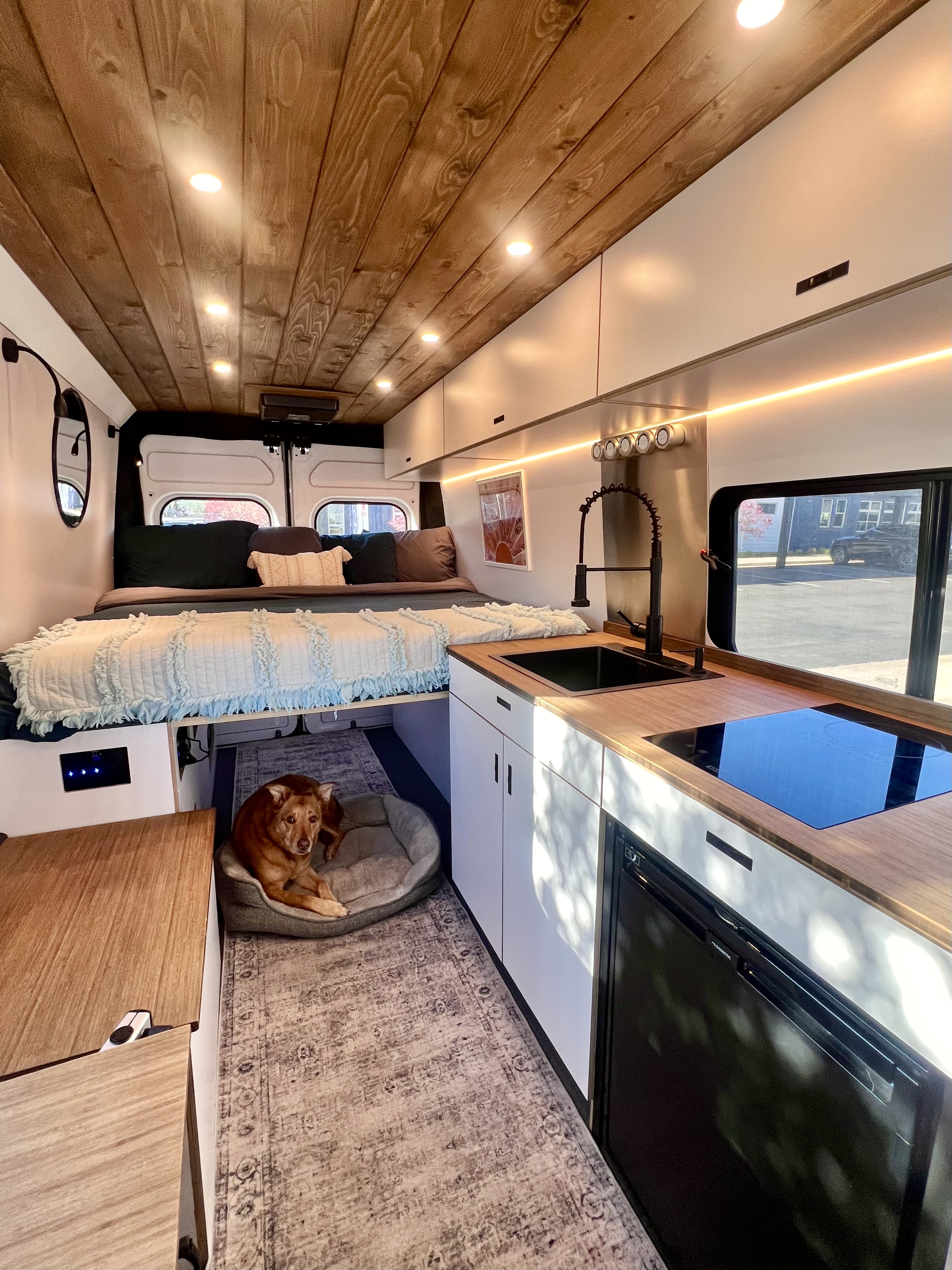 Camper Van Rentals in Denver, CO — altCamp