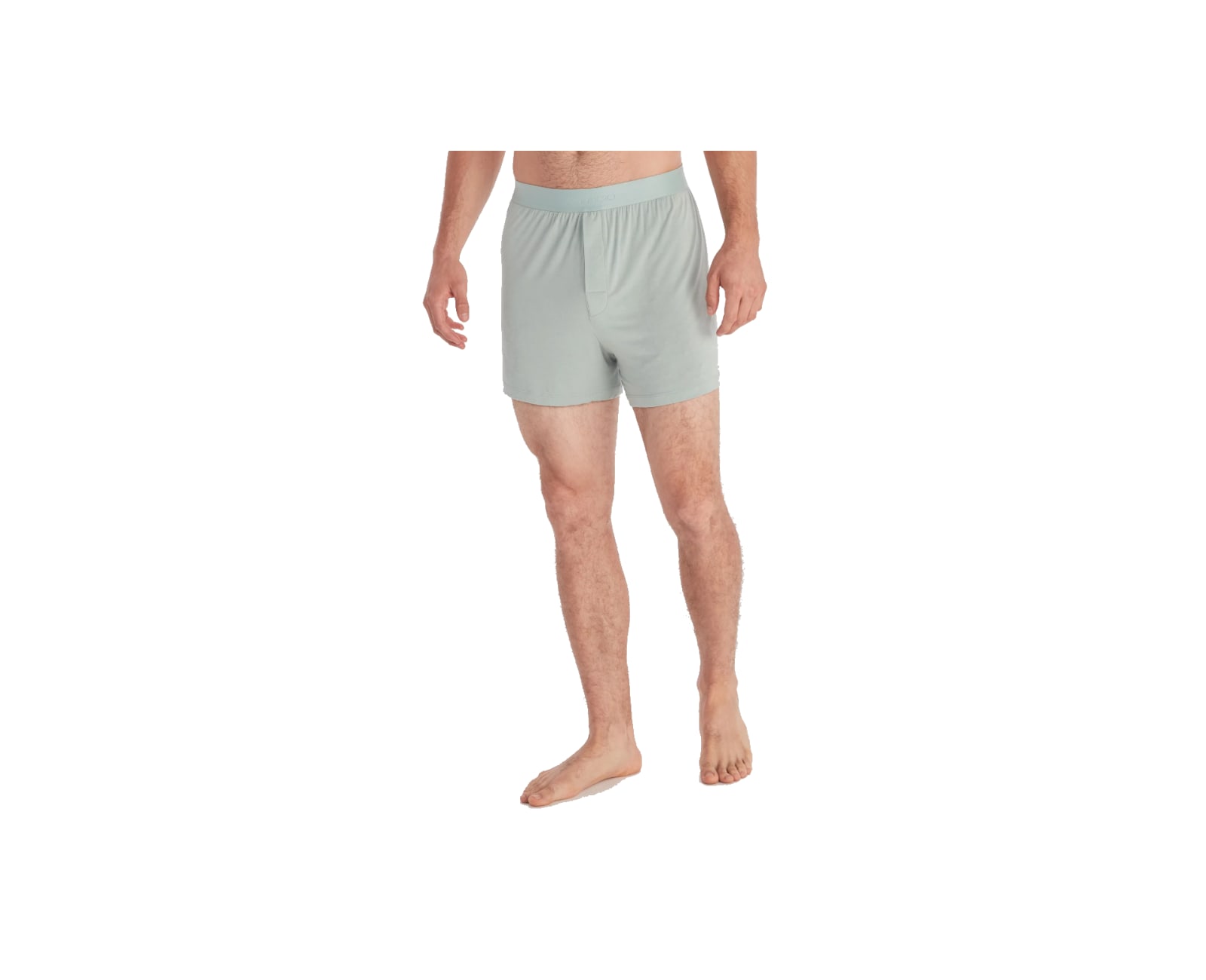 ExOfficio Men's Everyday Boxer - Jadeite - XL
