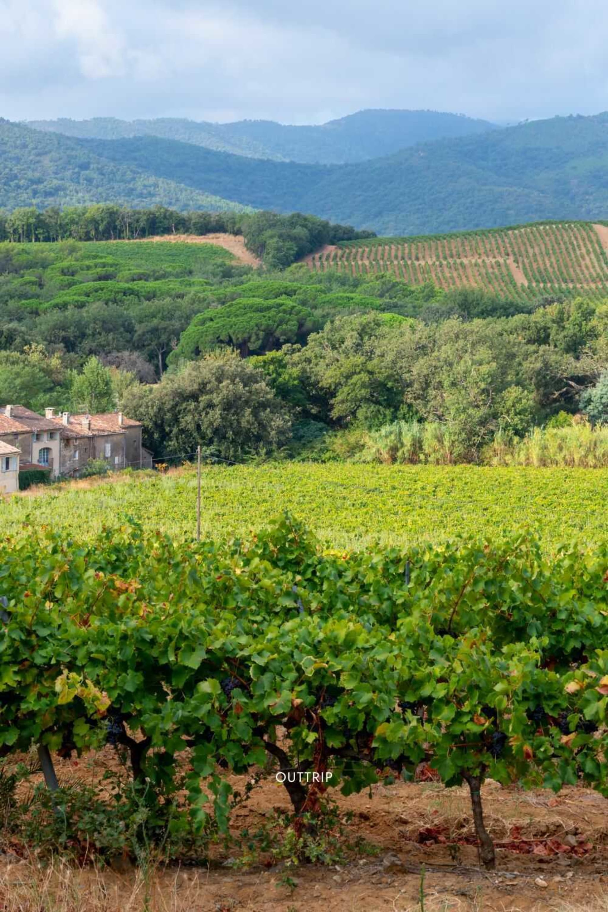 Massif Des Maures Outtrip