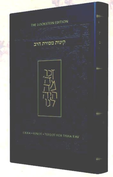 rav soloveitchik tisha bav coloring pages