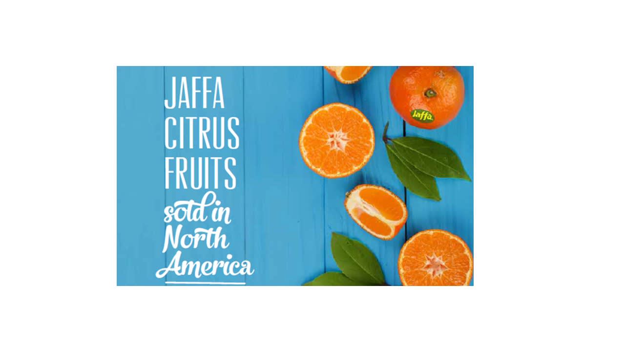 Jaffa Citrus Fruits Sold in North America - Kosher for Passover