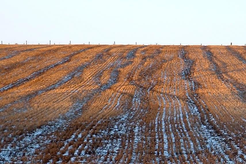 The Sabbatical Year (Shemitah) Affects Jews the World Over - OU Kosher