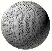 The Daf Heard Around the World - Jewish Action