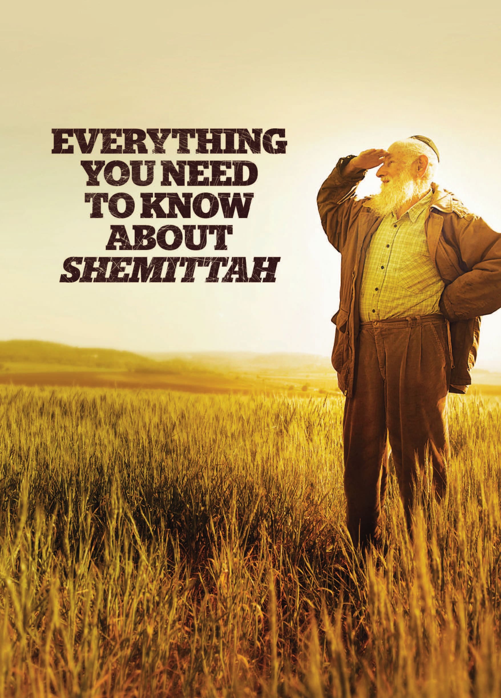 Everything You Need To Know About Shemittah - Jewish Action