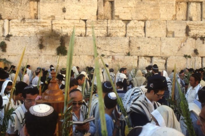 Sukkot: An Introduction - Jewish Holidays