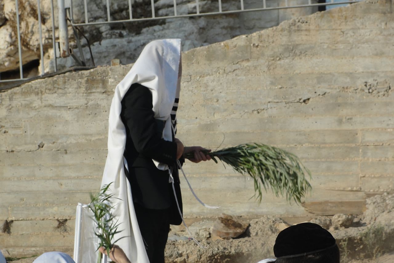 Beating the Aravot on Hoshana Rabba - Jewish Holidays