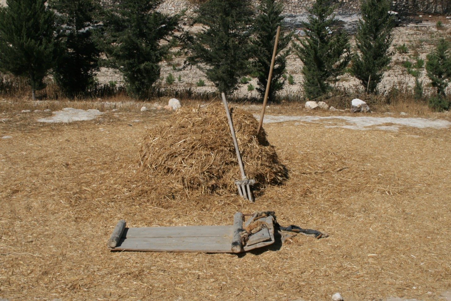 39 Melachot: Melacha #5 - Dosh (Threshing) - Jewish Holidays