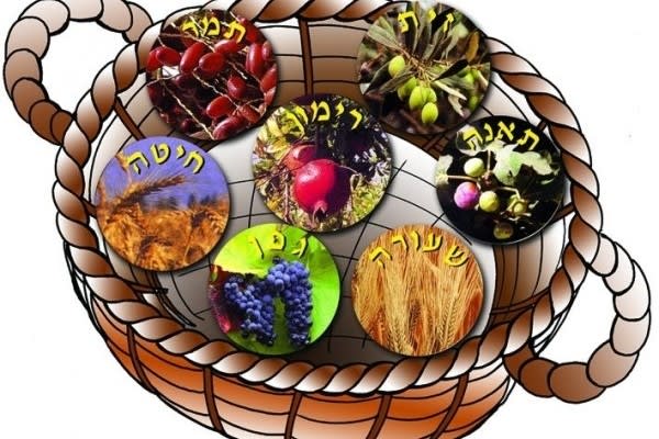 Bringing the First Fruit - Jewish Holidays