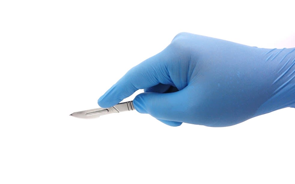 Rosh Hashana: The Avnei Nezer's and R' Chaim's Revolutionary Dissection ...