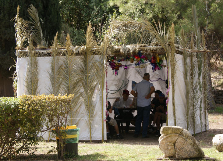 Sukkot: An Agricultural or Historic Holiday? - Jewish Holidays