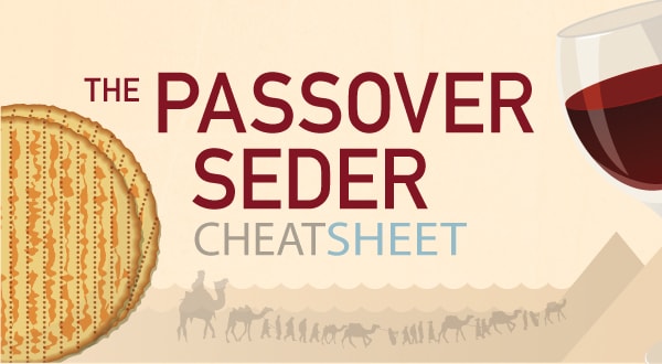 Passover Seder Cheat Sheet (Infographic) - NCSY
