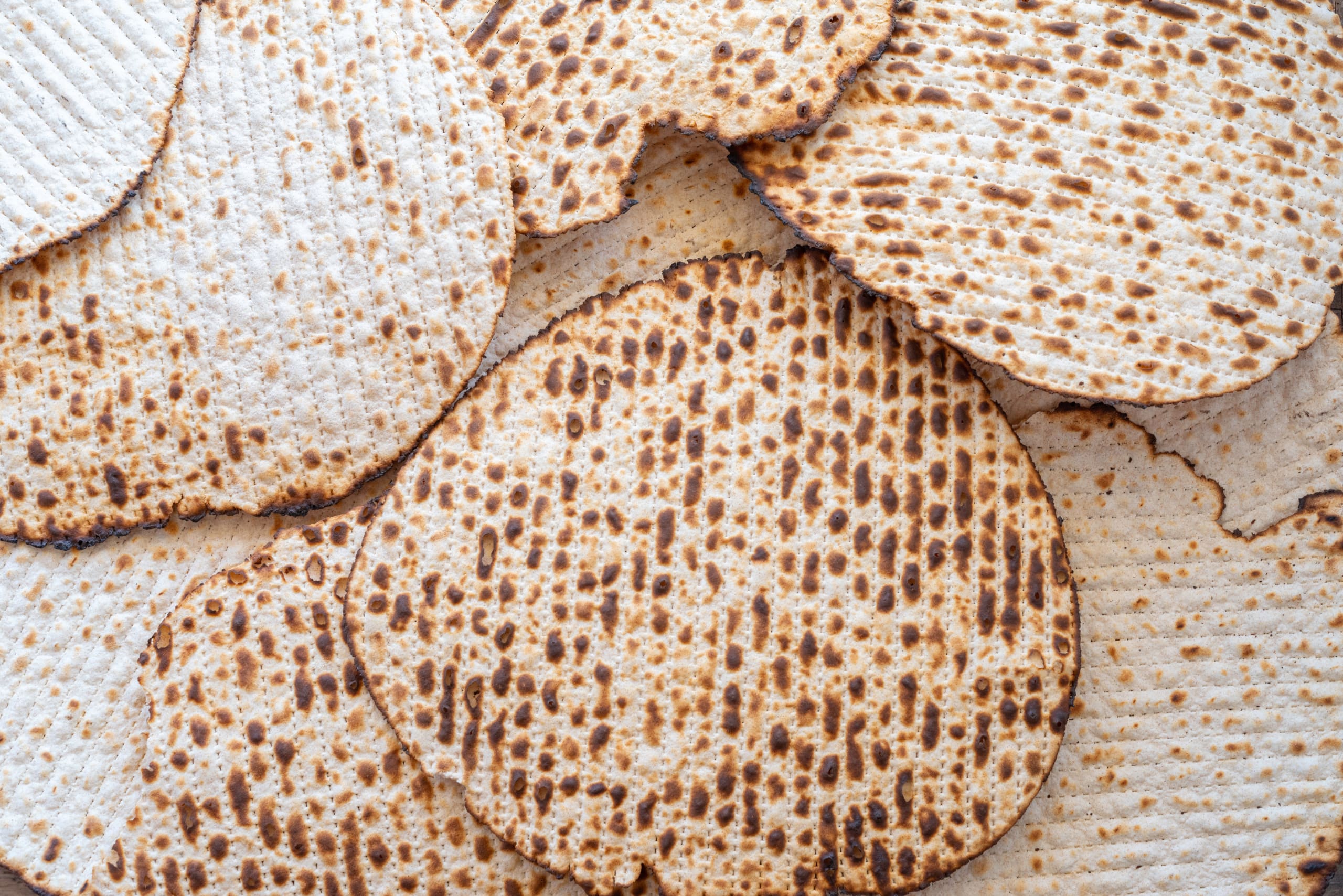 Pesach 5784 - Jewish Holidays