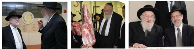 Remembering Rabbi Belsky, zt”l - Kosher for Passover