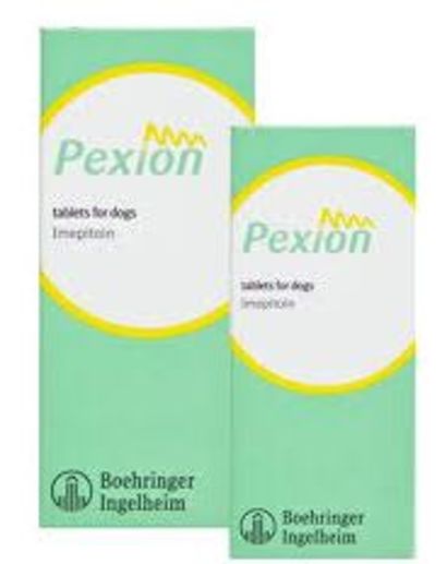 Pexion Tablets 100mg for dogs 100 pack for idiopathic epilepsy
