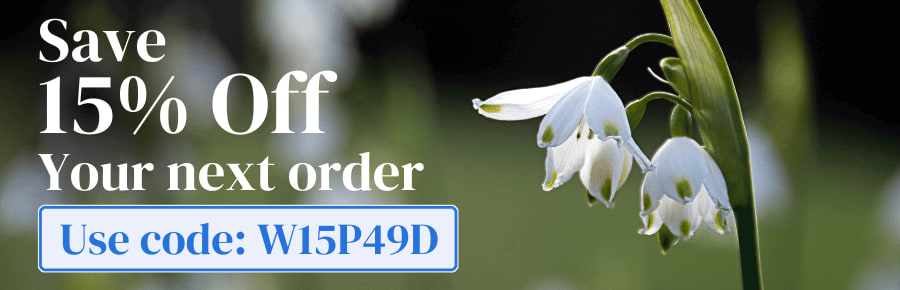 Oxford Online Pharmacy Blog