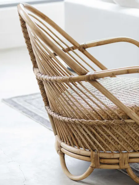 Rattan Care