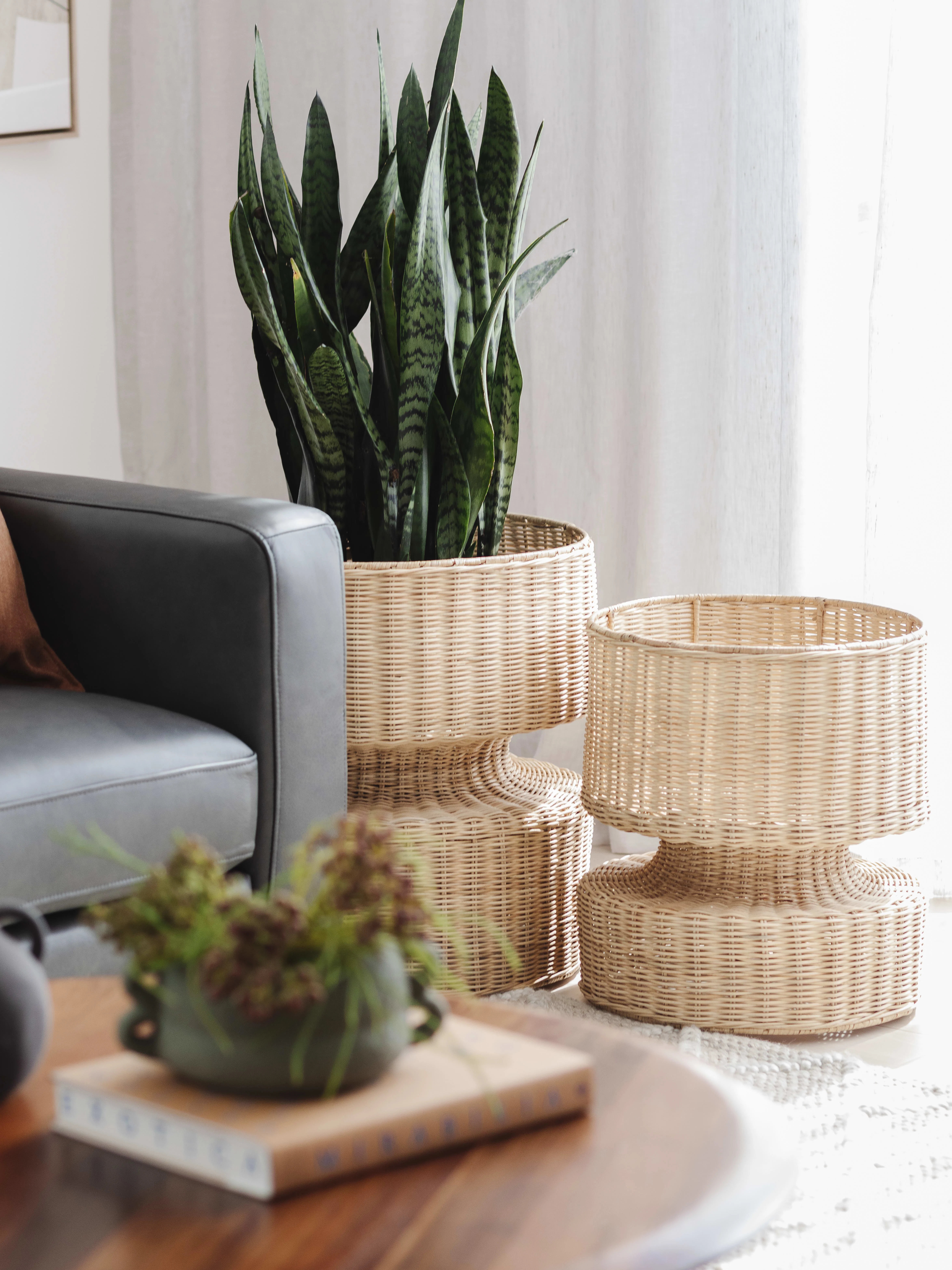 Rattan Care