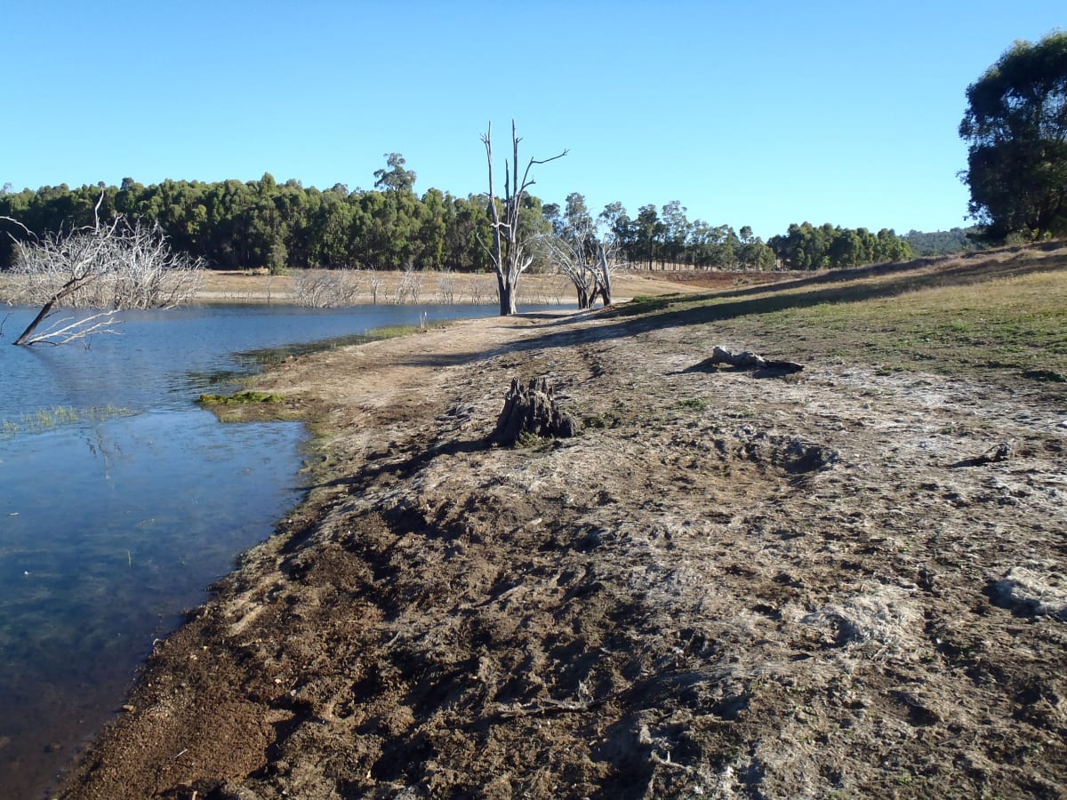 Marron Habitat Project - OzFish Unlimited
