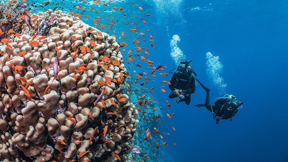 PADI Open Water Diver & Dive Against Debris Course Bundle