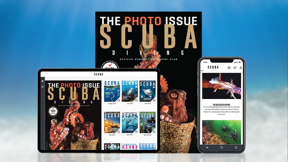 Scuba Diving Magazine Digital Subscription | Explore, Learn & Gear Up