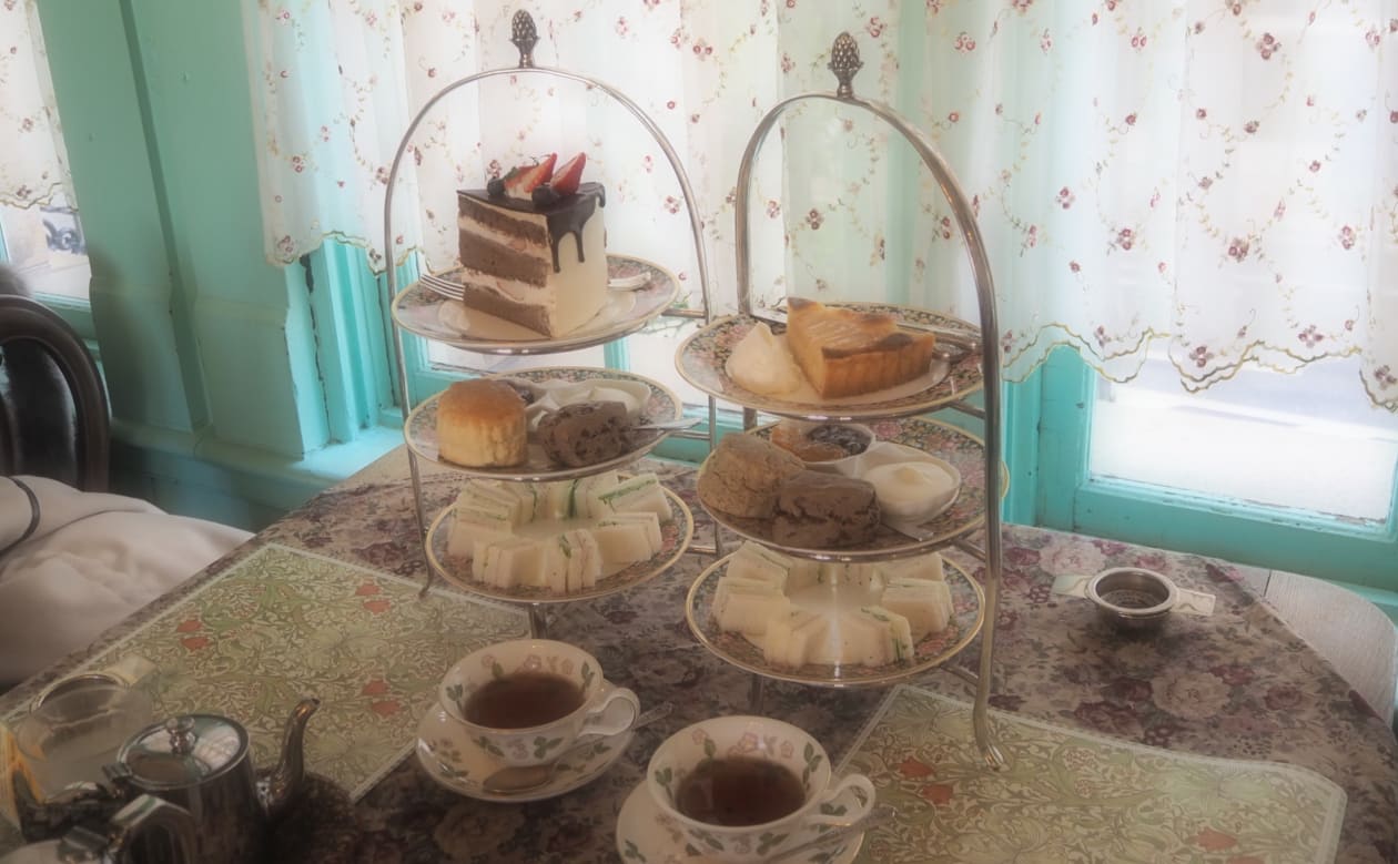 おすすめグルメ🫖｜フリーペーパー制作団体 moco《Pando》