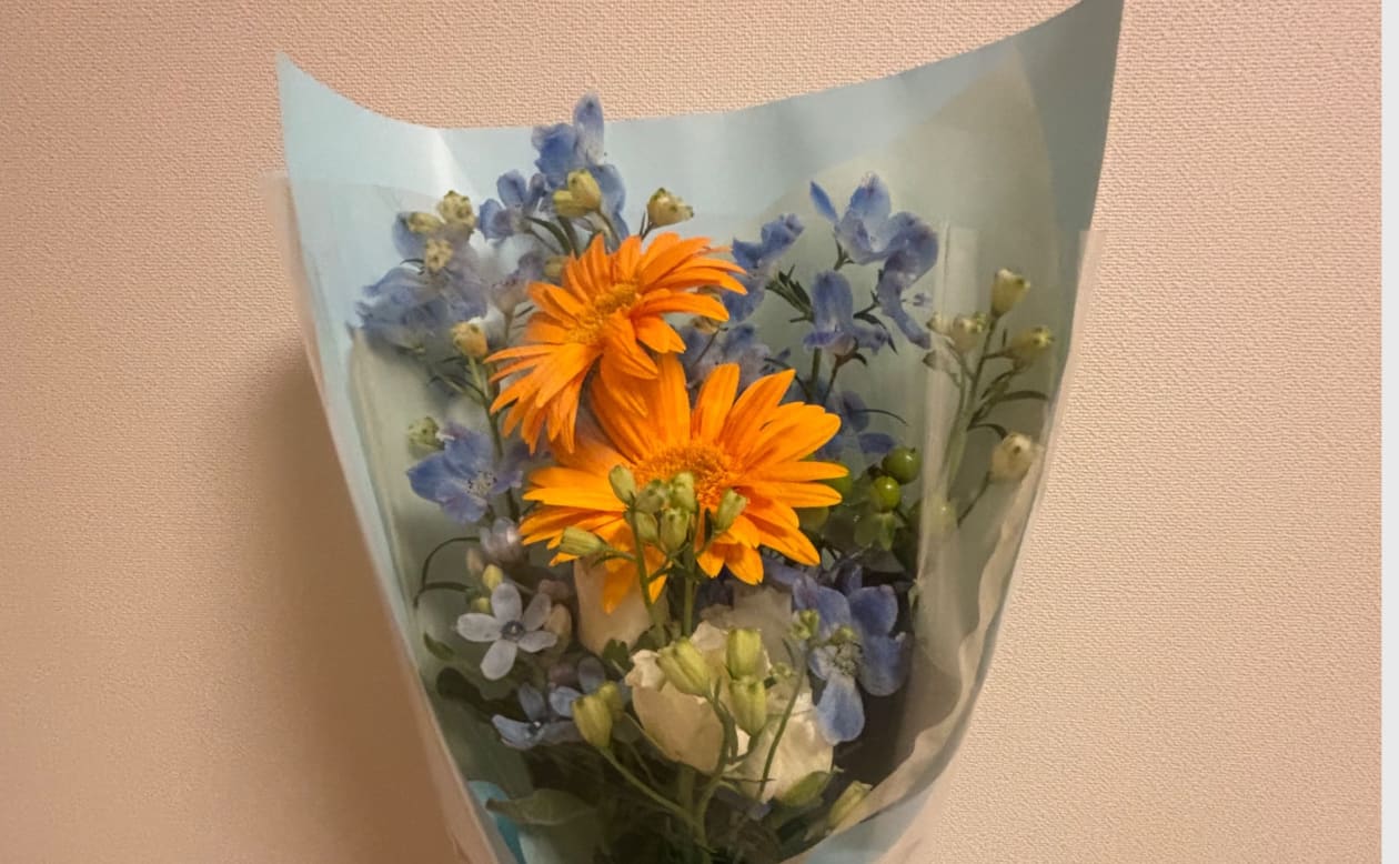 はじめまして🍀 ｜フリーペーパー制作団体 moco《Pando》