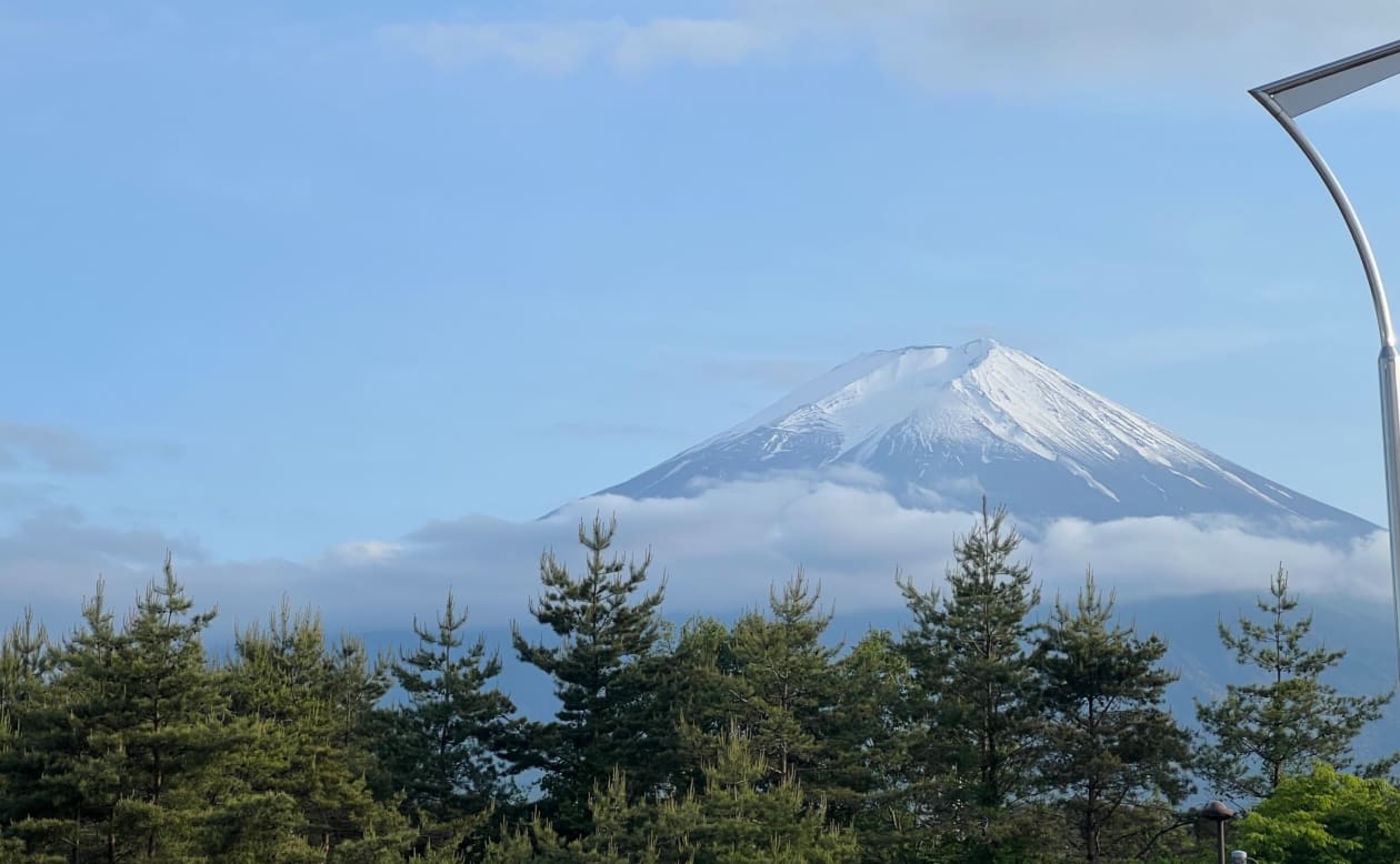 LIN, CHIN WEI（東京デザイナー・アカデミー （旧東京デザイナー学院））のビジョン《Pando》