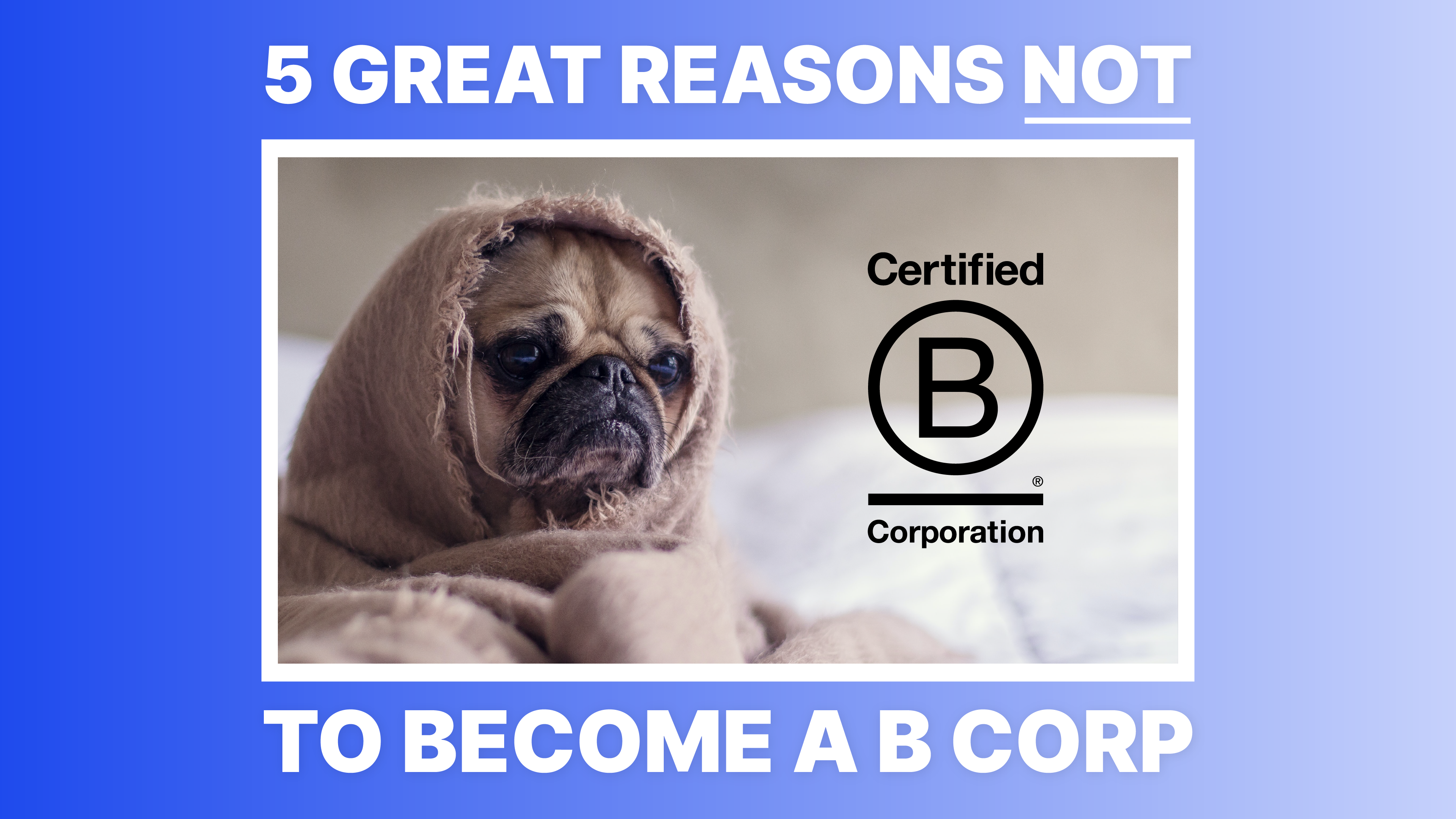 Puppy Dog Eyes Please Meme