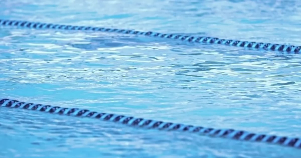 Parramatta Aquatic Centre - City of Parramatta - Paper Moose | B Corp ...