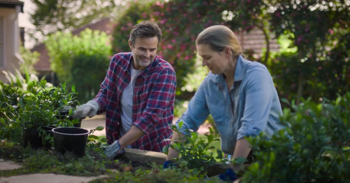 Real Insurance - Greenstone Financial Services - Paper Moose | B Corp ...