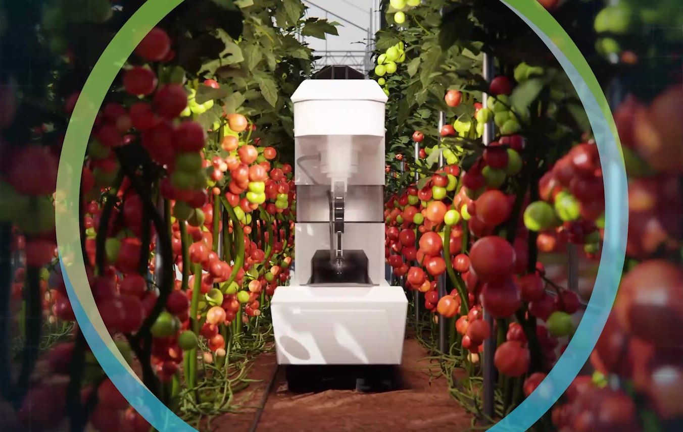 Work | Paradowski Creative