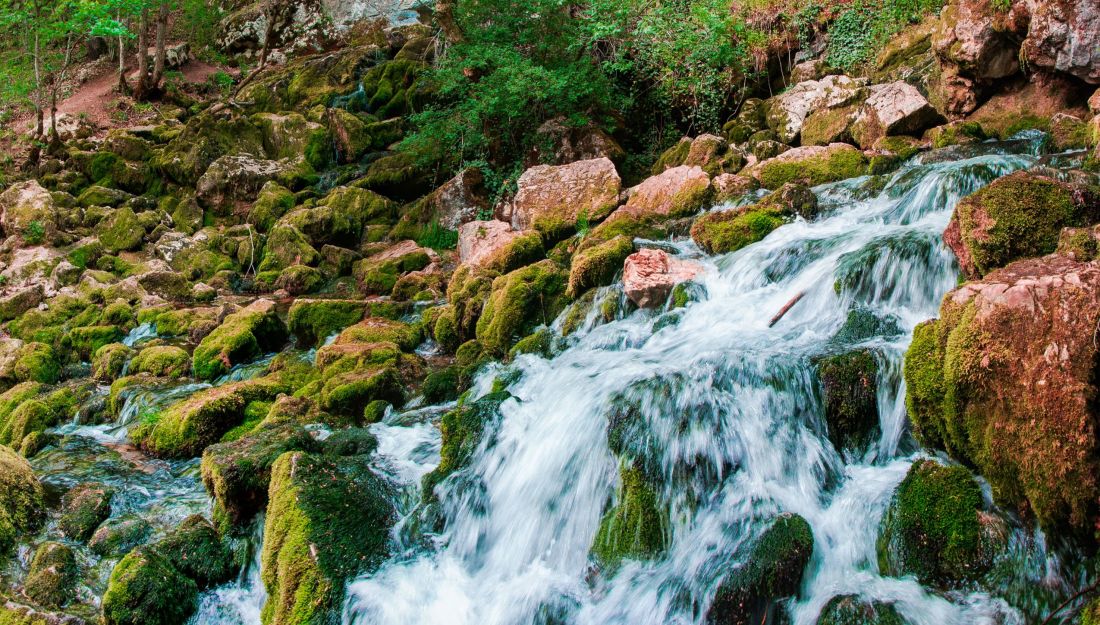 The spring of the River Grza - a one day picnic trip