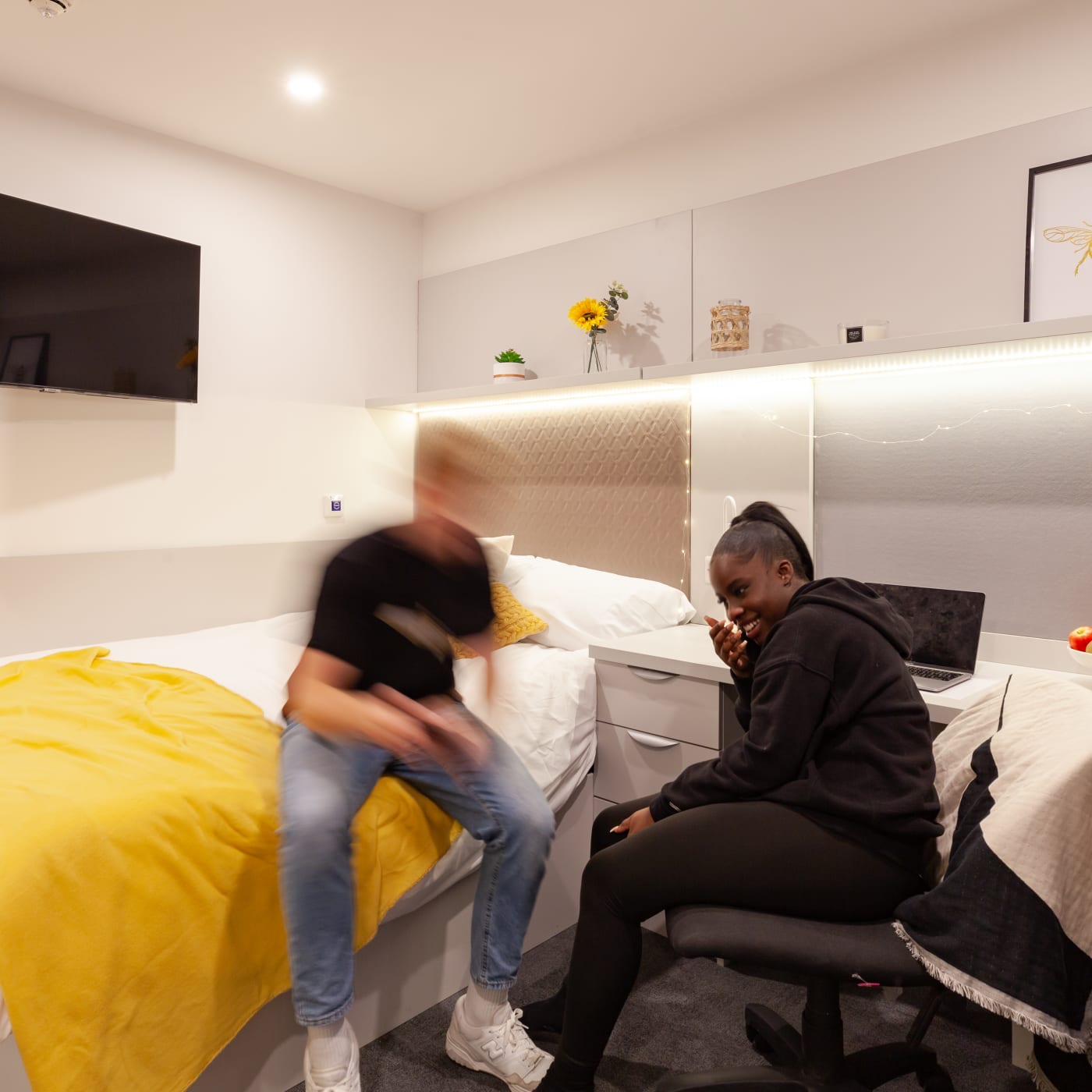 Private Student Accommodation Swansea | true student