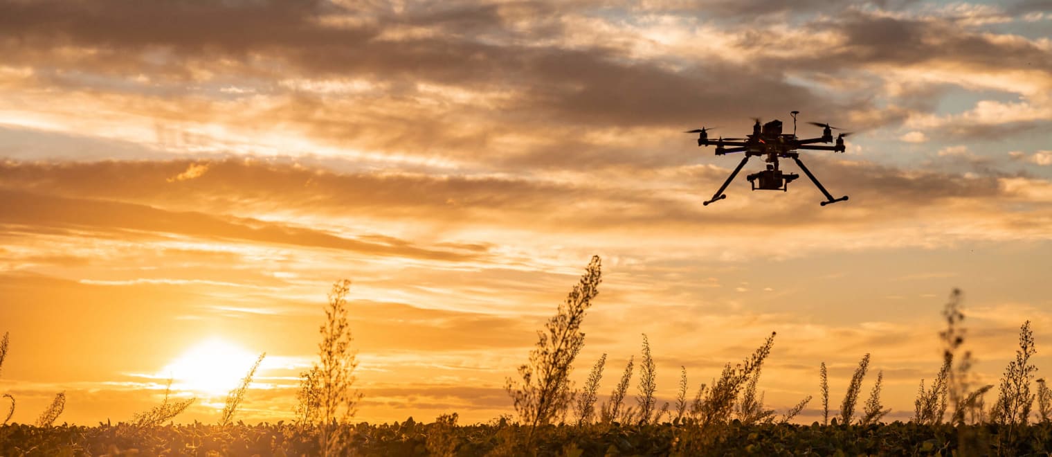 What is a UXO survey? | The CPD Certification Service