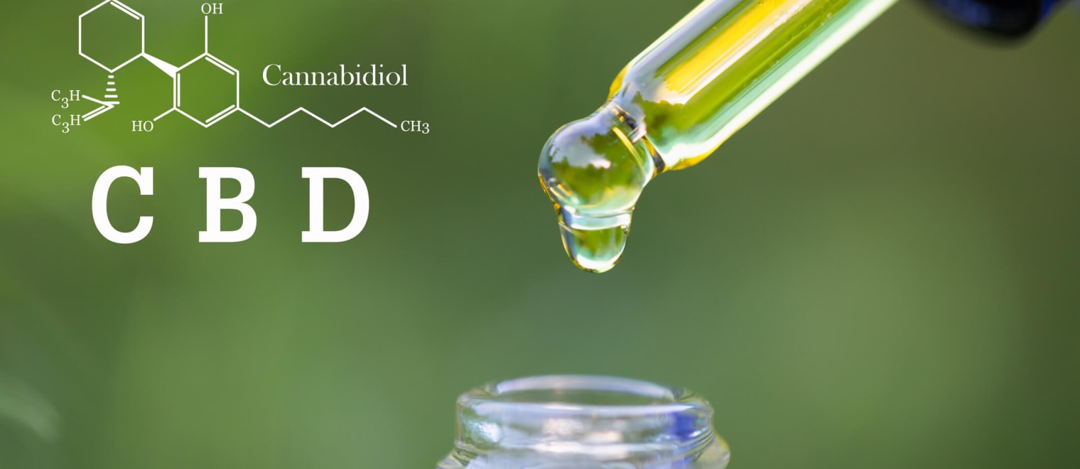 A Beginners Guide to CBD | The CPD Certification Service