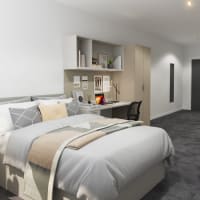 true Studios | true student