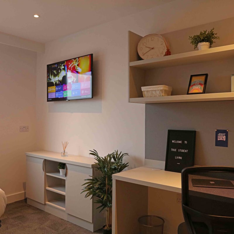 Private Student Accommodation Swansea | true