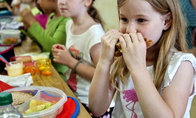 School Canteens Should Only Sell Healthy Food Giving A Tick To Junk school-canteens-should-only-sell-healthy-food-giving-a-tick-to-junk